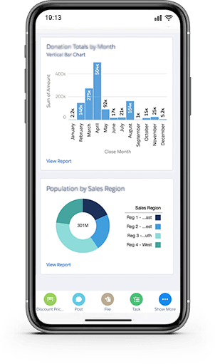 Salesforce Customization Services