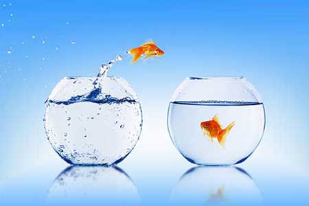 Congruent Software Blog - Information Technology Insights, Tips, and Trends